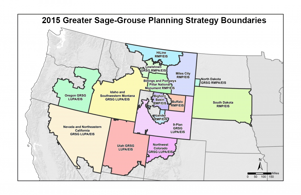 Sage-Grouse | BUREAU OF LAND MANAGEMENT