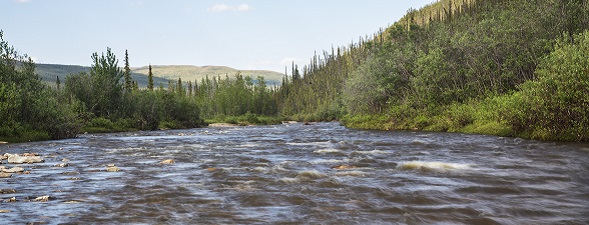 Steese National Conservation Area | BUREAU OF LAND MANAGEMENT
