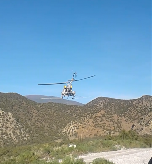 Helicopters help treat inaccessible invasive plant | Bureau of Land ...