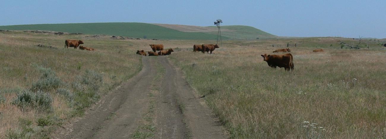 Oregon-Washington - Rangeland Management and Grazing | Bureau of Land ...