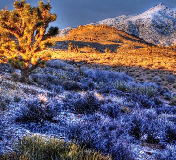 BLM Library | Bureau of Land Management