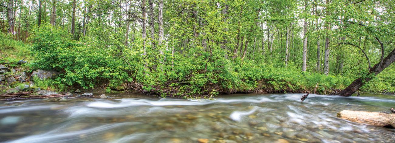 Alaska | Bureau of Land Management
