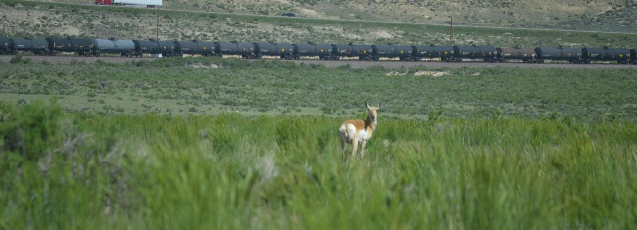 Wyoming | Bureau of Land Management