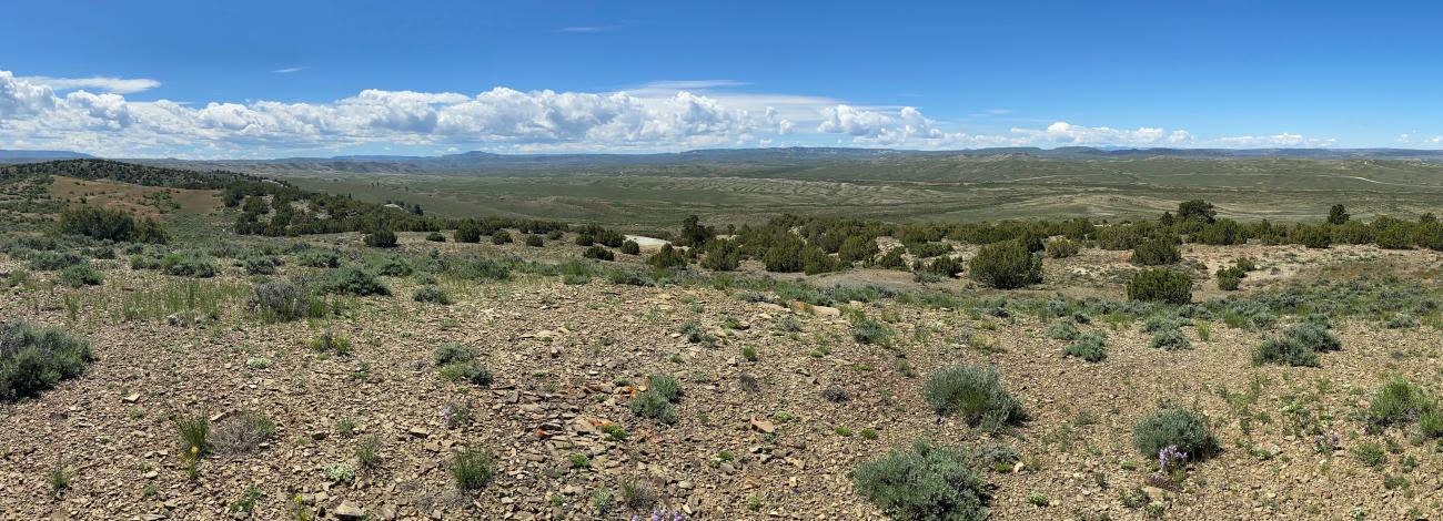 Wyoming | Bureau of Land Management