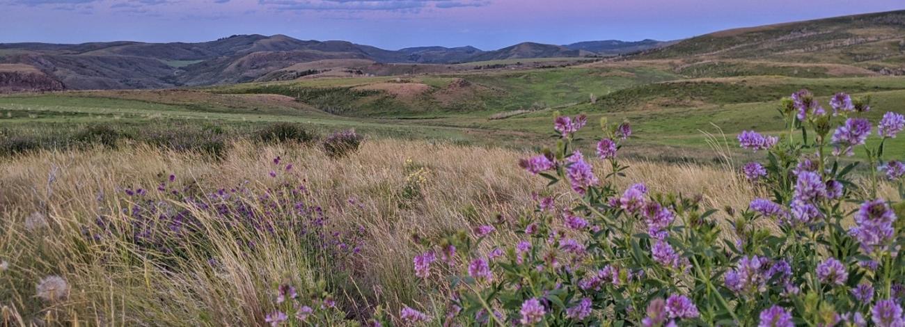 Idaho | Bureau of Land Management