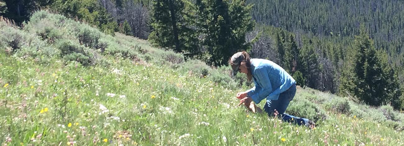 Home | Bureau of Land Management