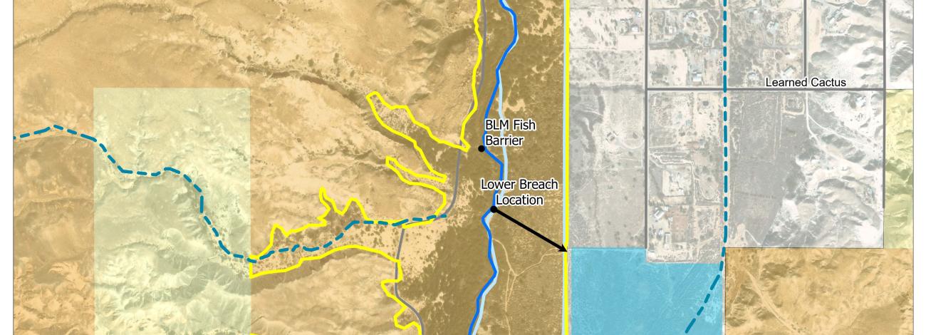 Nevada | Bureau of Land Management