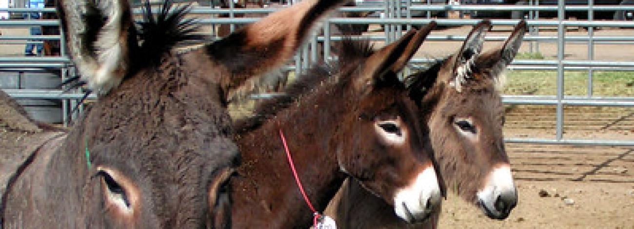 Home | Bureau of Land Management
