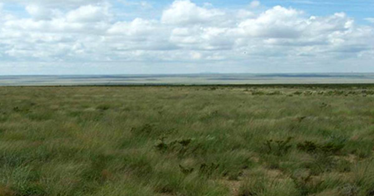 McGregor Range Grazing Contracts | Bureau of Land Management