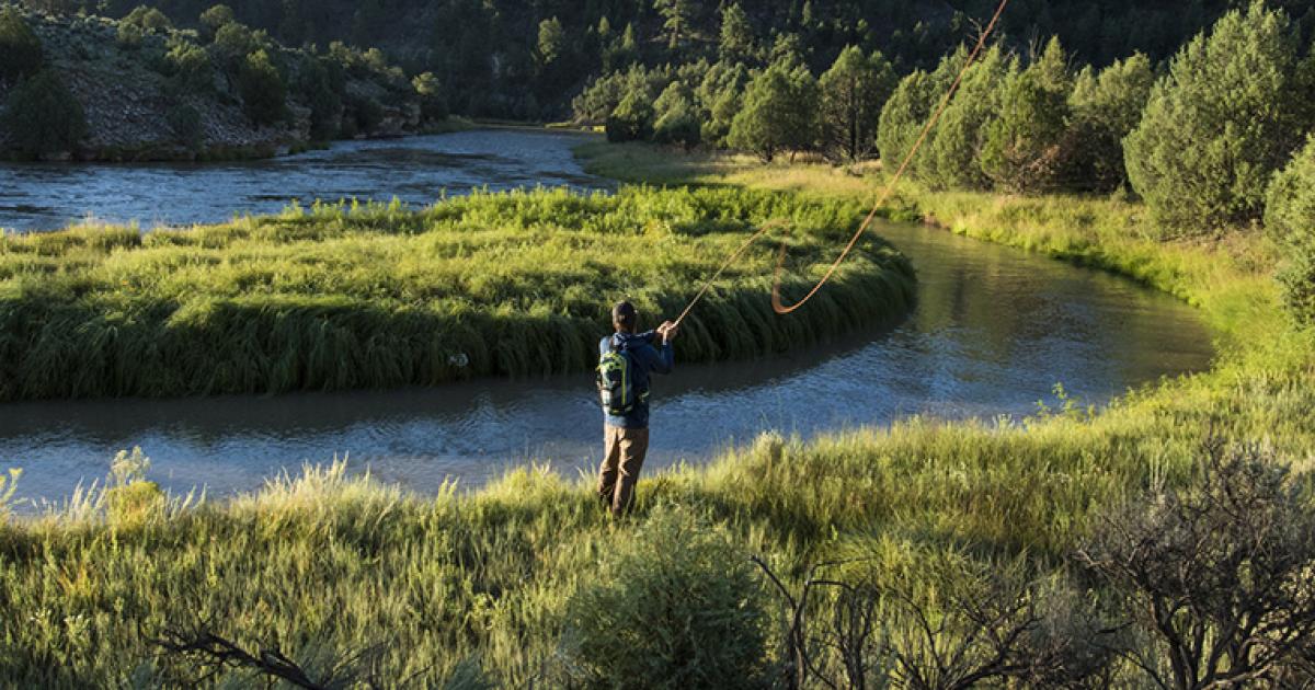 Farmington District Office | Bureau of Land Management