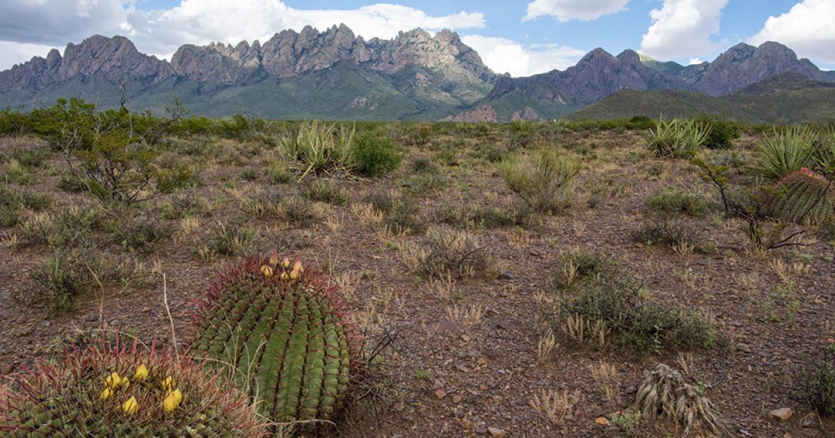 Las Cruces District Office | Bureau of Land Management