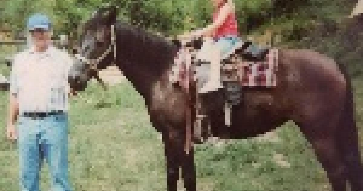 My Wild Horse Story: A Poem About a Mustang | Bureau of Land Management