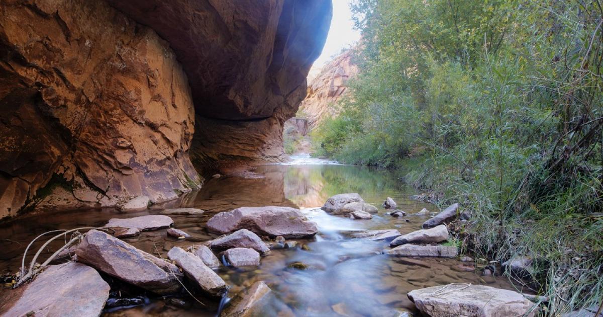 Utah - Grandstaff Canyon WSA | BUREAU OF LAND MANAGEMENT