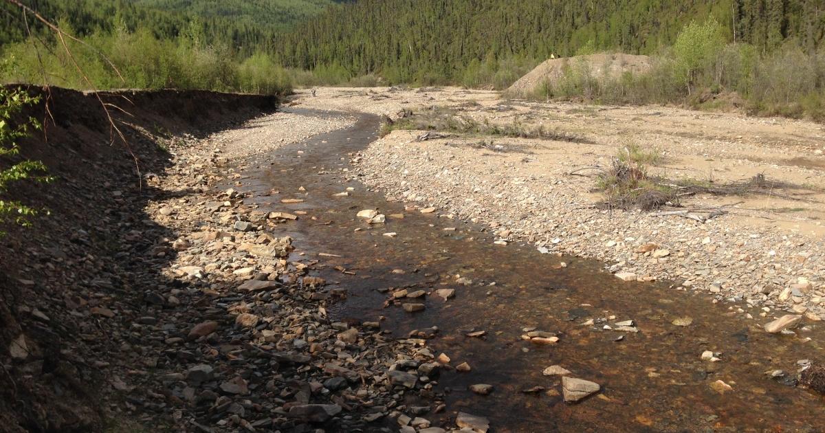 BLM seeks input on its plan for aquatic and riparian restoration ...