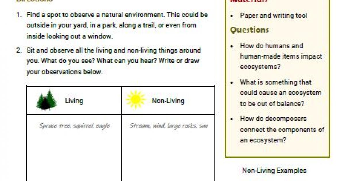 Ecosystem Connections Activity | Bureau of Land Management