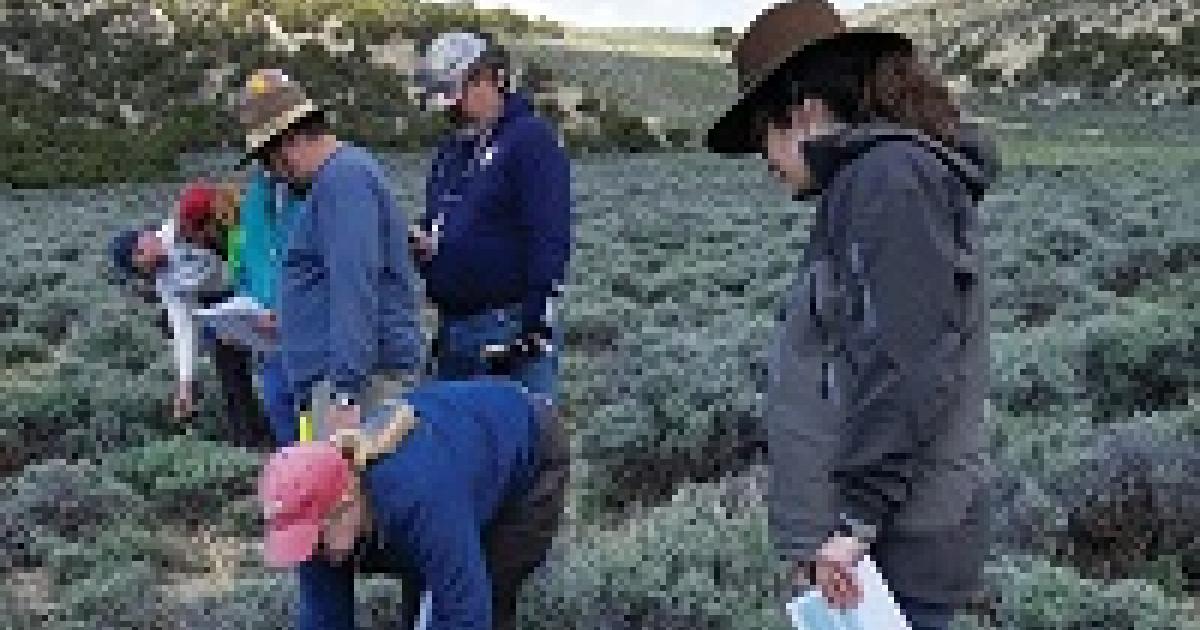 Bureau of Land Management Rangeland Resource Assessment : 2011 | Bureau ...