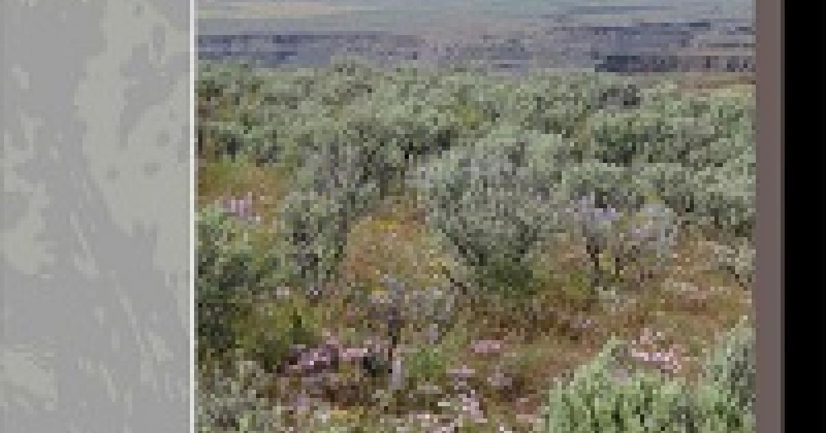 Enhancement of Degraded Shrub-Steppe Habitats with an Emphasis on ...