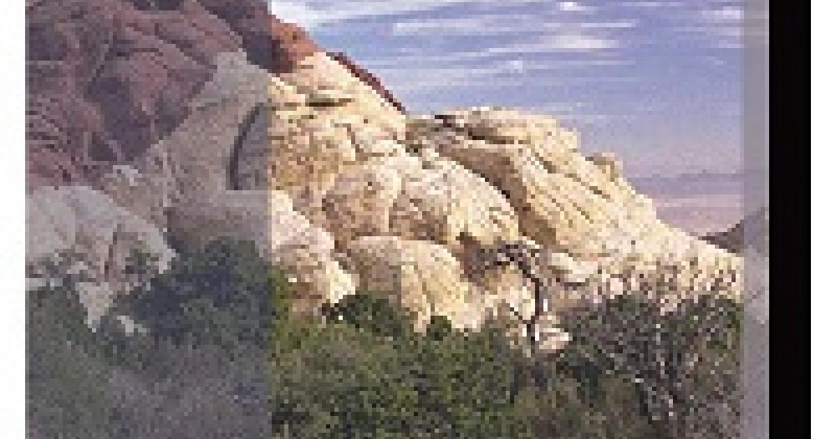 Developing a CERCLA Enforcement Case for Cost Avoidance/Cost Recovery ...