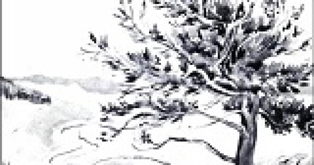 Opportunities and Challenges - The Story of the BLM | Bureau of Land ...