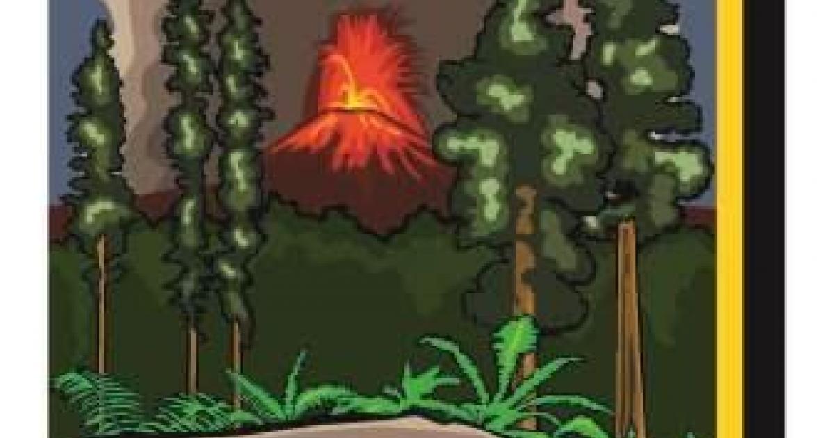 Malm Gulch Petrified Forest Junior Explorer Activity Book | Bureau of ...