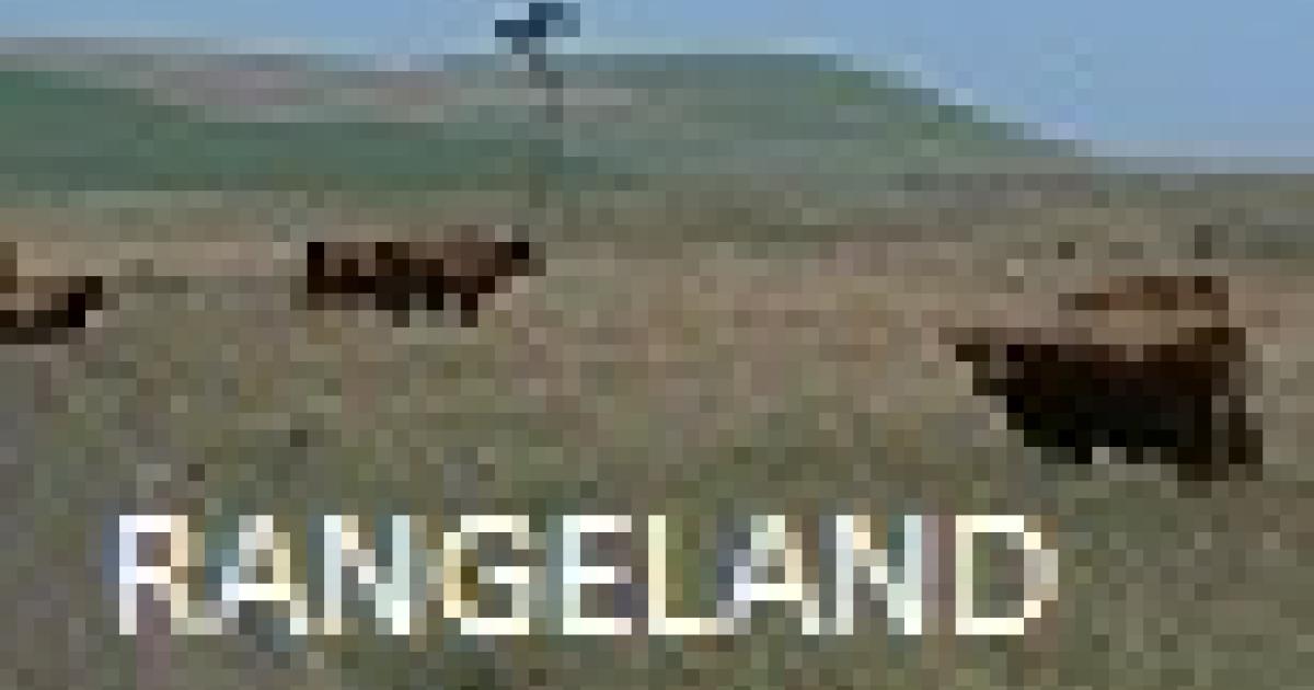 Oregon – O’Keeffe FFR (#00203) 2020 Rangeland Health Assessment ...