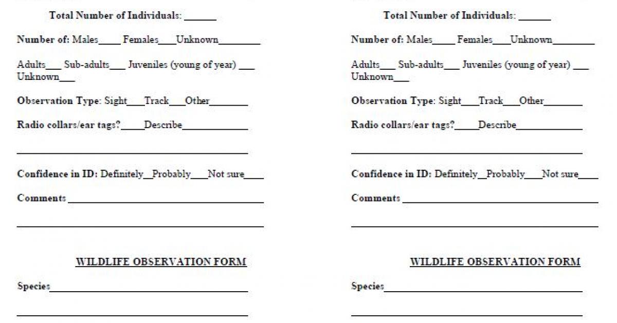 Wildlife Observation Form | Bureau of Land Management