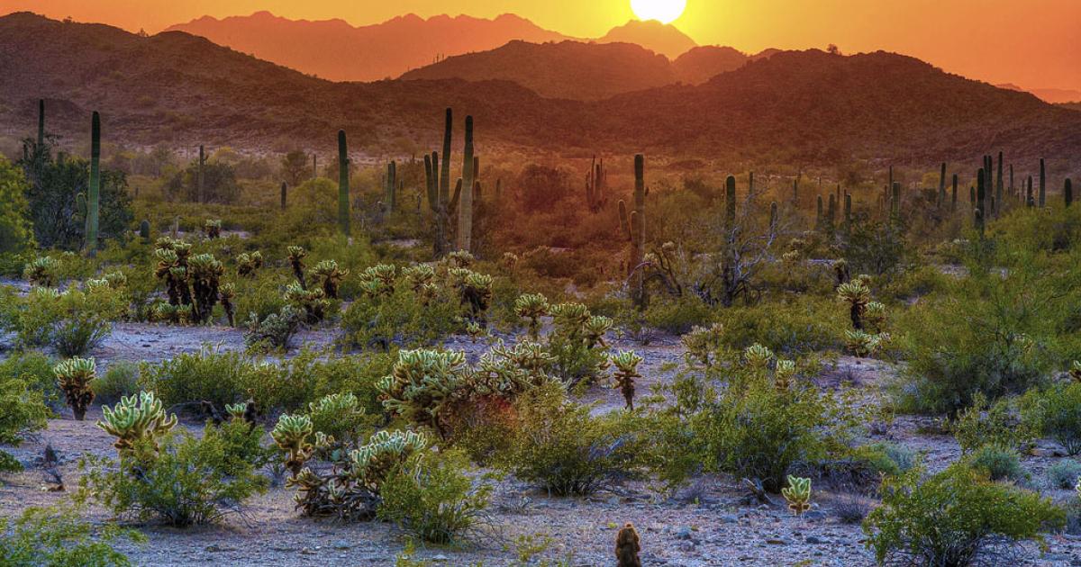 BLM seeks input on recreational target shooting at the Sonoran Desert ...