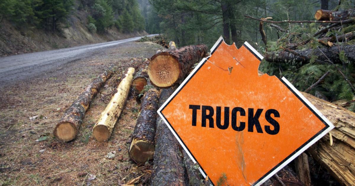 BLM issues nearly $28 million to western Oregon counties from timber ...
