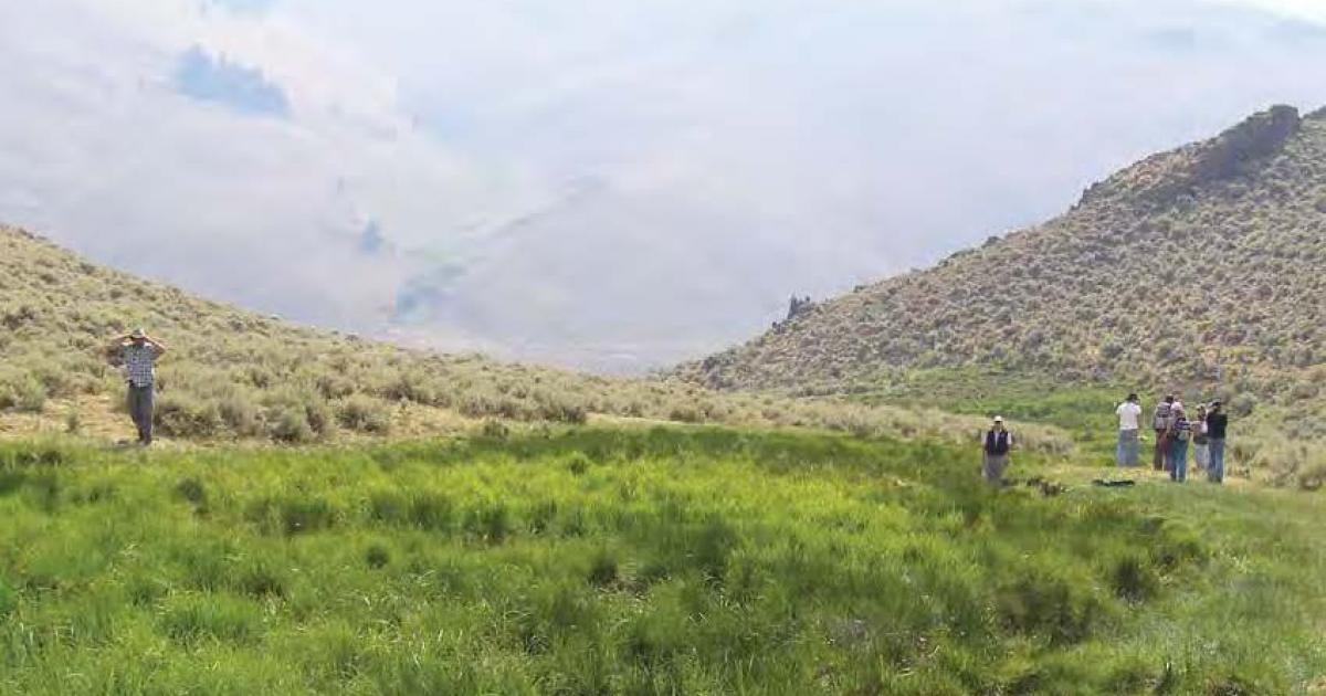 Proper Functioning Condition Assessment for Lentic Areas | Bureau of ...