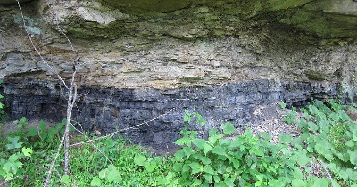 BLM to review potential impacts of proposed metallurgical coal leasing ...