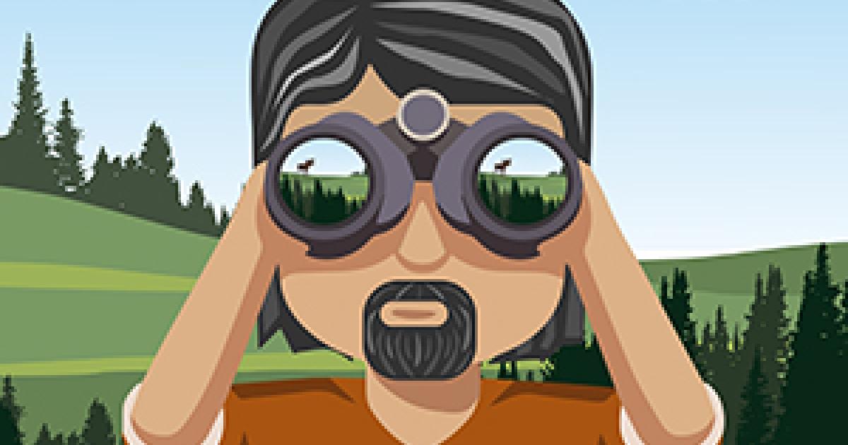 Podcast: Watchable Wildlife, a "where to look for what" guide | Bureau ...