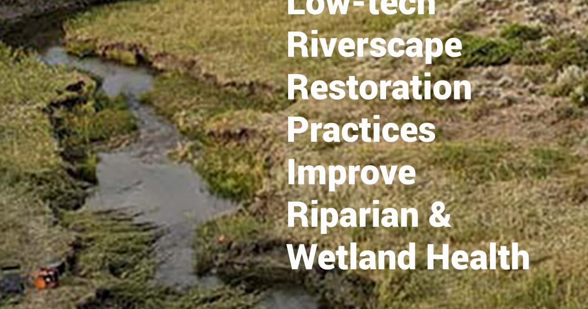 Low-Tech Riverscape Restoration Practices Improve Riparian-Wetland ...