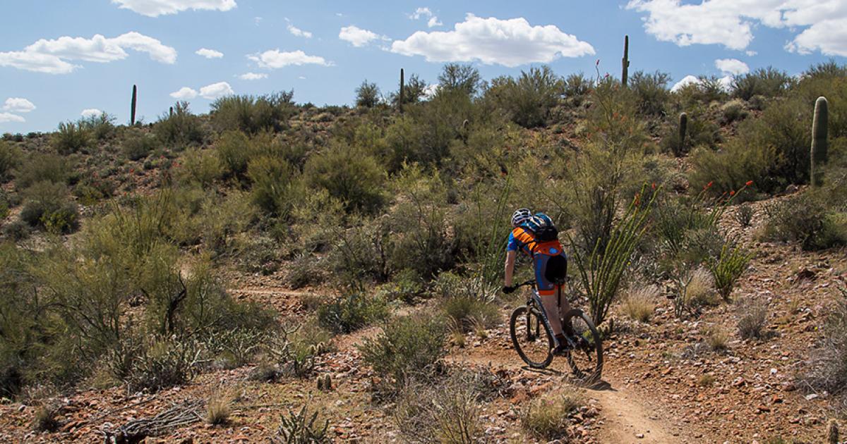 BLM extends comment period on proposed Black Canyon Corridor Travel ...