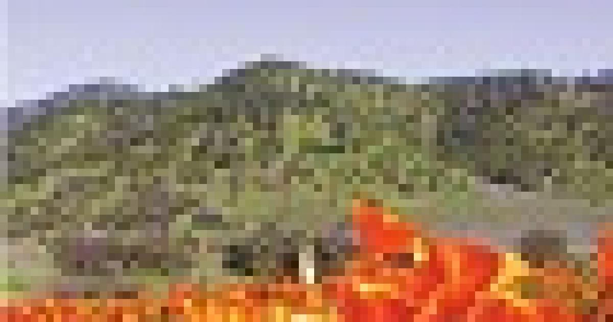 Berryessa Snow Mountain National Monument Map and Guide | Bureau of ...