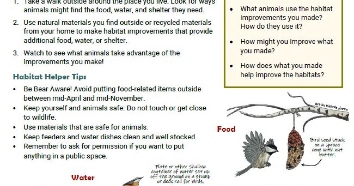 Improve a Habitat! Activity | Bureau of Land Management