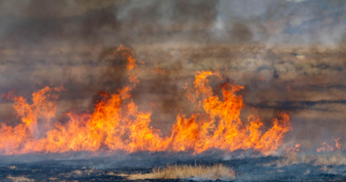 Battle Mountain District Fire Restrictions Notice | Bureau of Land ...