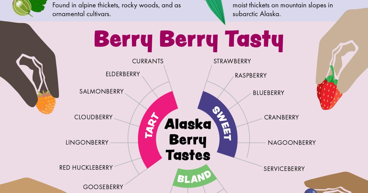 Alaska Wild Berries Infographic | Bureau of Land Management