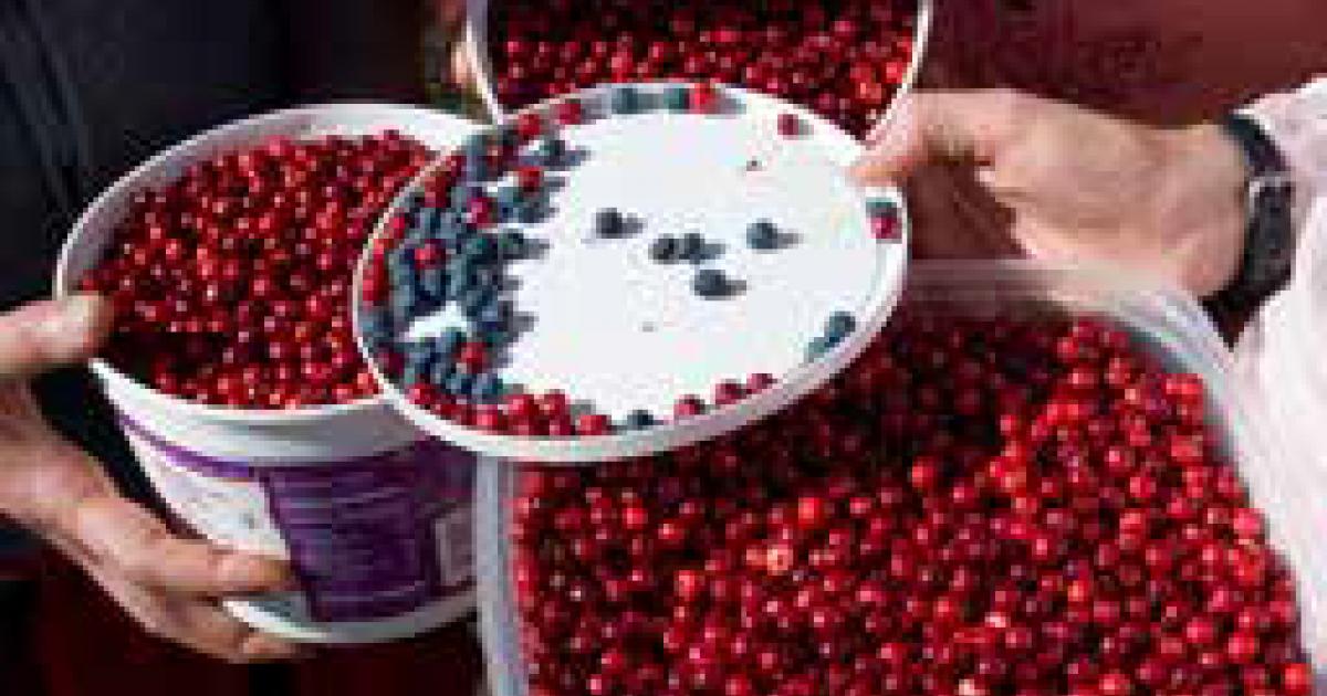 More than survival, the subsistence tradition sustains meaning for ...