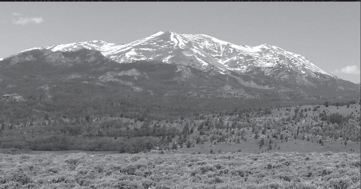 Public Land Statistics 2020 | Bureau of Land Management