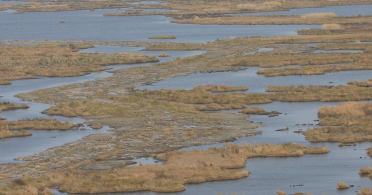 Sabine National Wildlife Refuge | Bureau of Land Management
