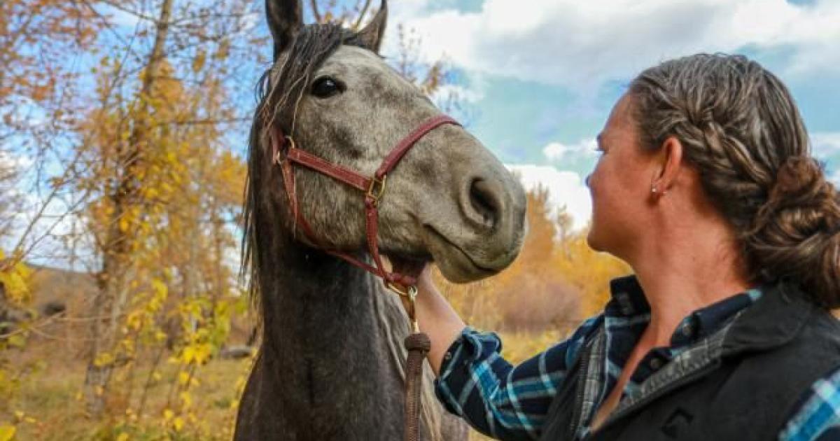 BLM enhances protections in wild horse and burro Adoption Incentive ...