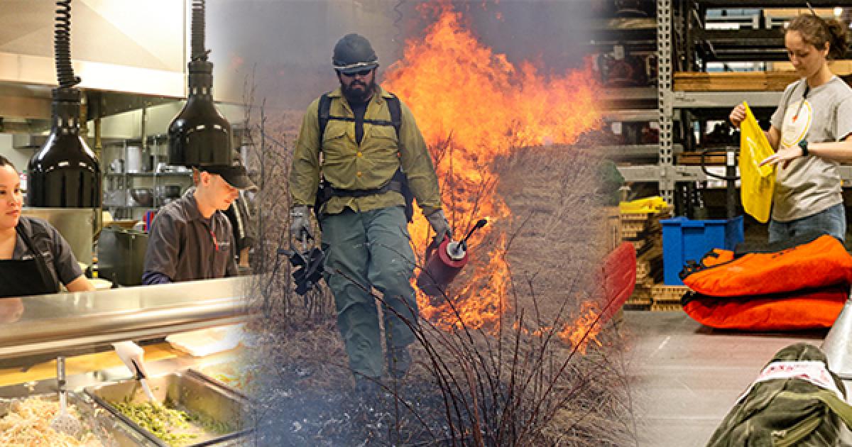Alaska Fire Service Jobs | Bureau of Land Management