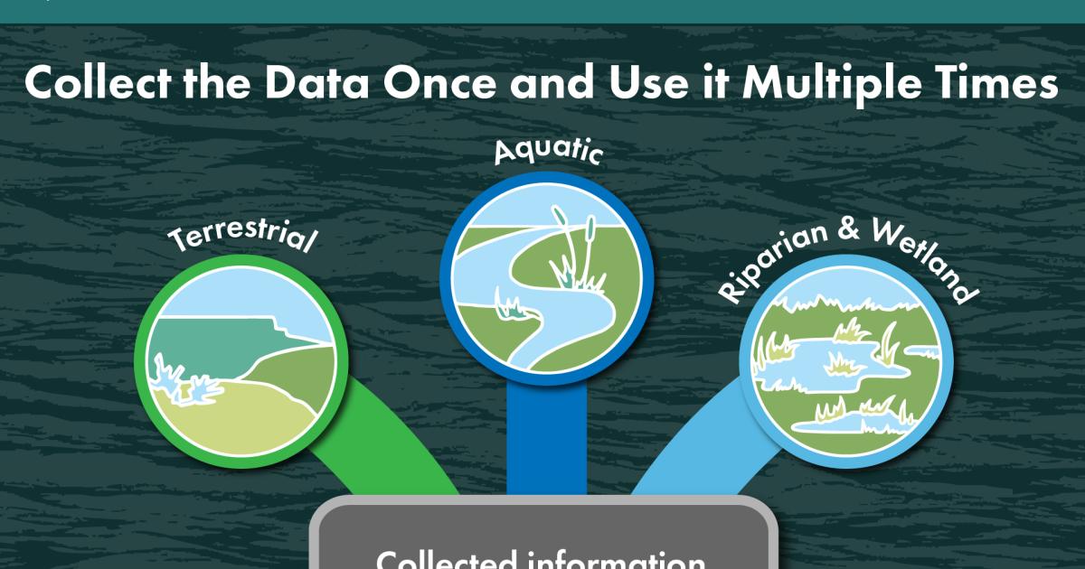 BLM Alaska AIM infographic | Bureau of Land Management