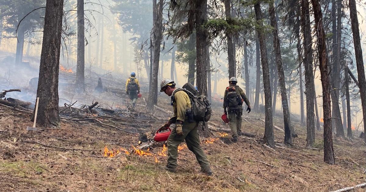 Missoula BLM to conduct prescribed burning along Blackfoot River ...