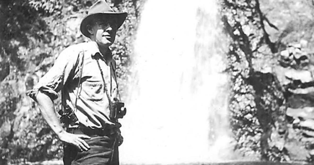 Celebrating an enduring resource and an unfiltered view of nature ...