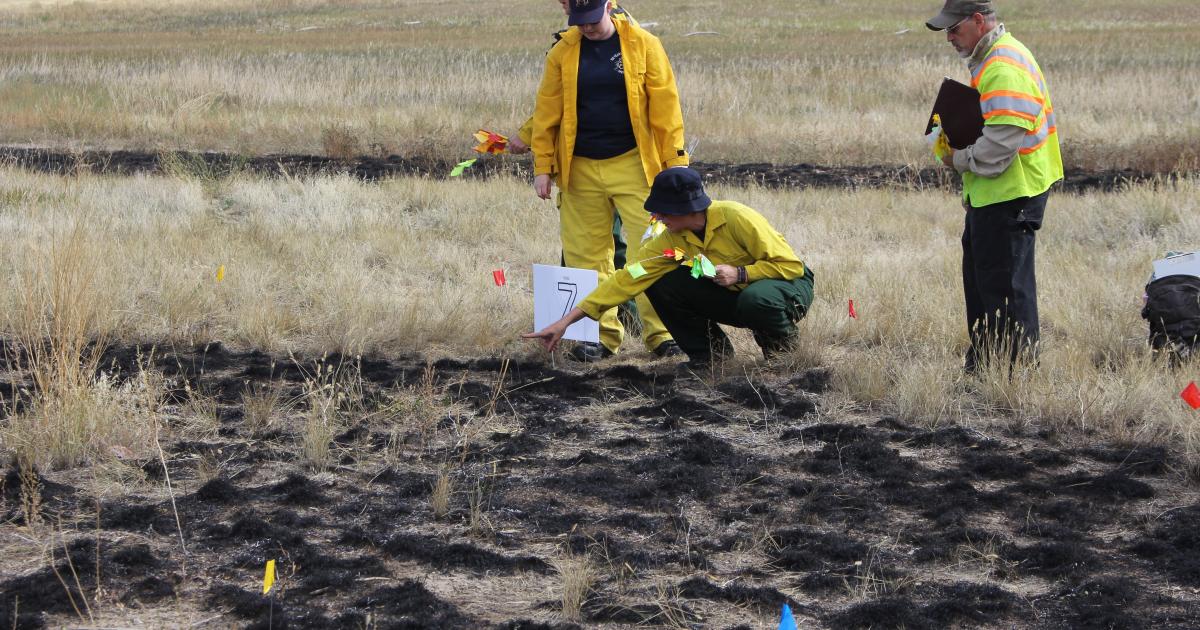 BLM Instructs Interagency Fire Investigation Training | Bureau of Land ...