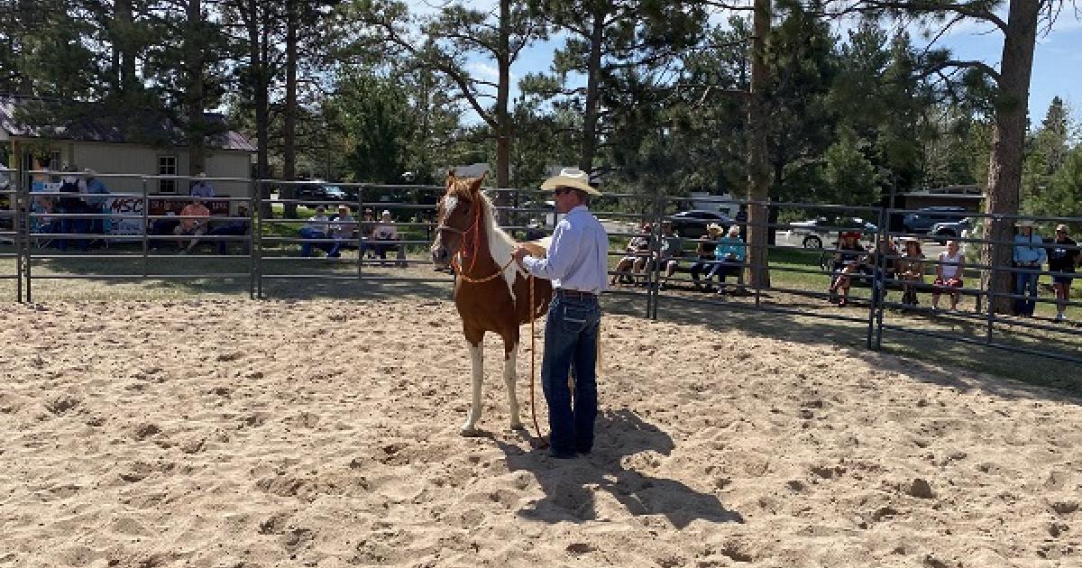 BLM Wyoming holds successful wild horse and burro adoption | Bureau of ...