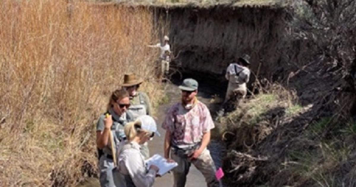 Local BLM trainers contribute to another successful Assessment ...