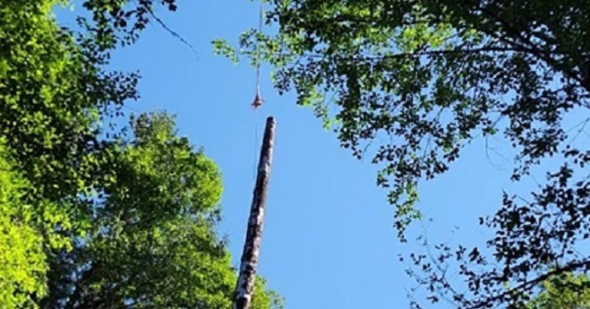 BLM Oregon and partners restore fisheries habitat in the Upper Sandy ...