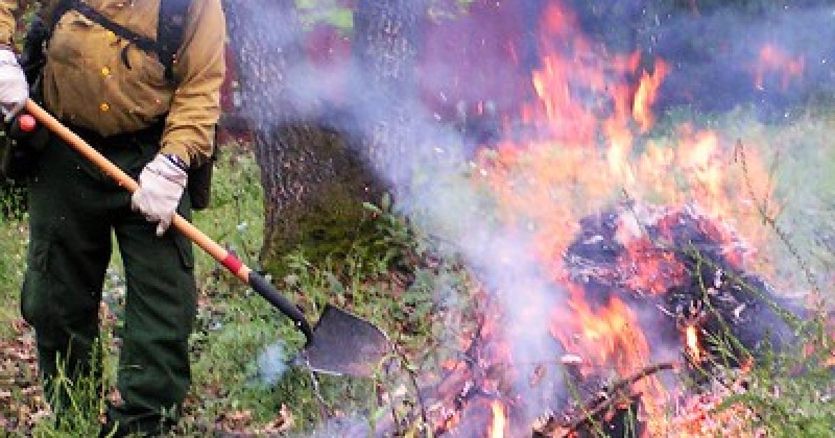 The BLM plans pile burning near Chimney Peak Extensive Resource ...